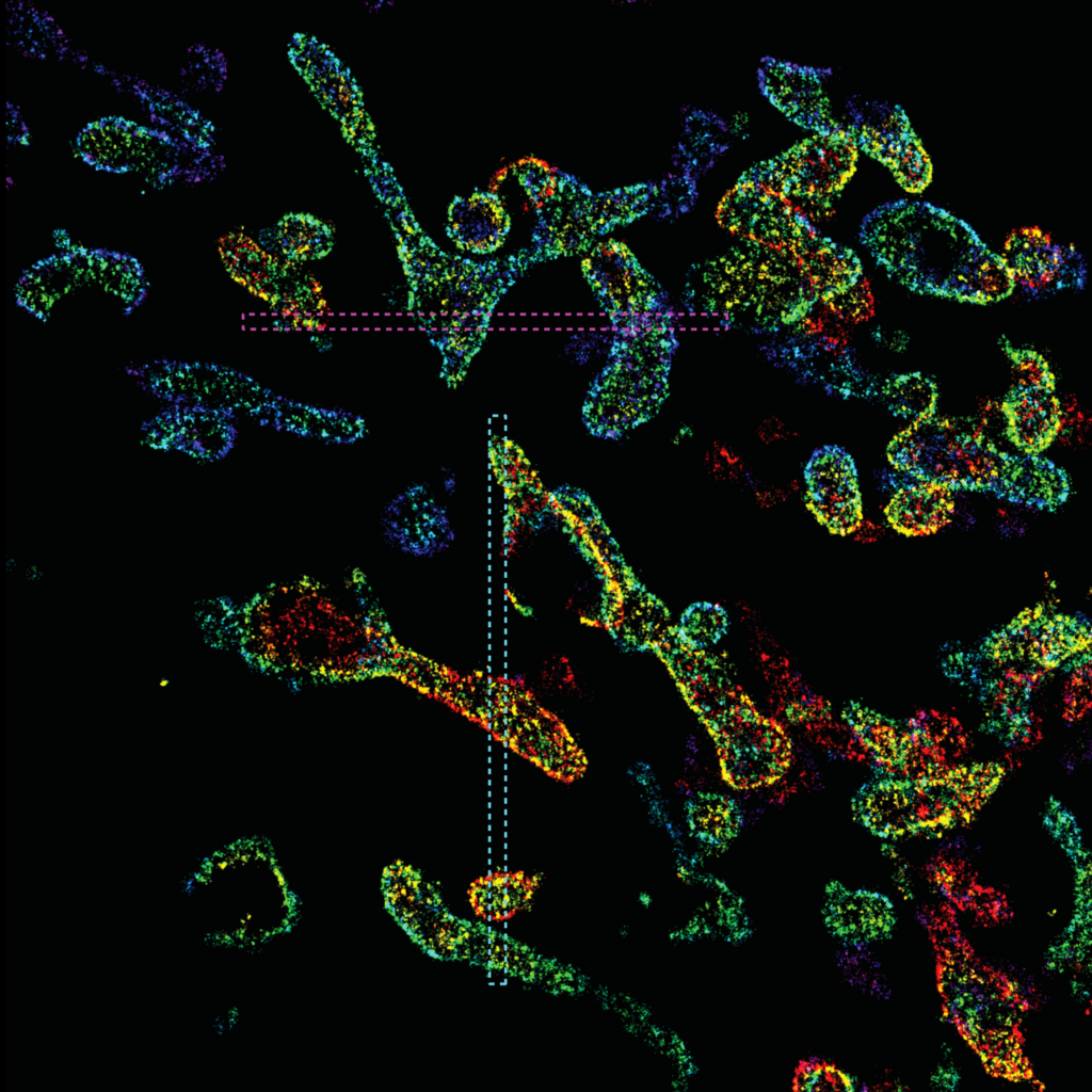 Groundbreaking SAFe-nSCAN multi-scale imaging platform to revolutionize ...